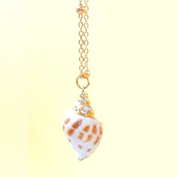 Jewelry | Tiger Conch Gold Dipped Spotted Mini Drupe Mitra Spiral Shell ...